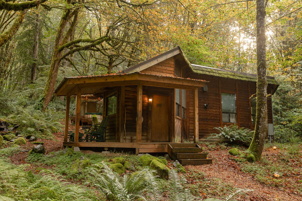Mount Rainier Retreat - The Grace West Guestroom - Roommate – Indie ...